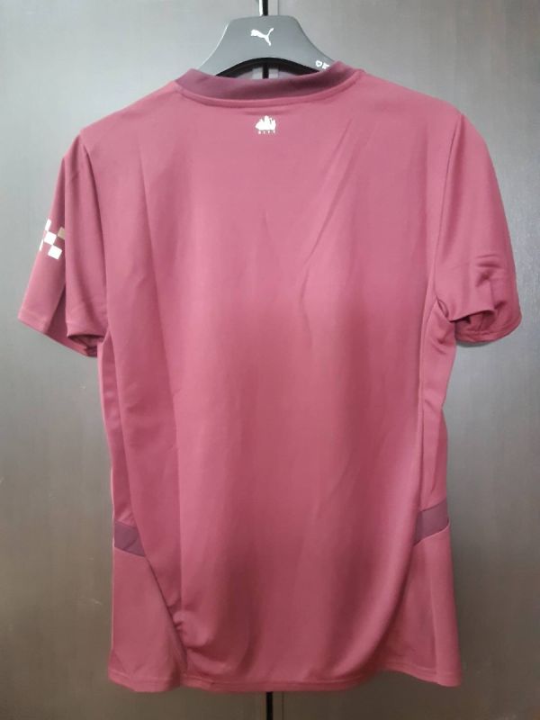 PUMA Men MCFC Third Jersey Replica